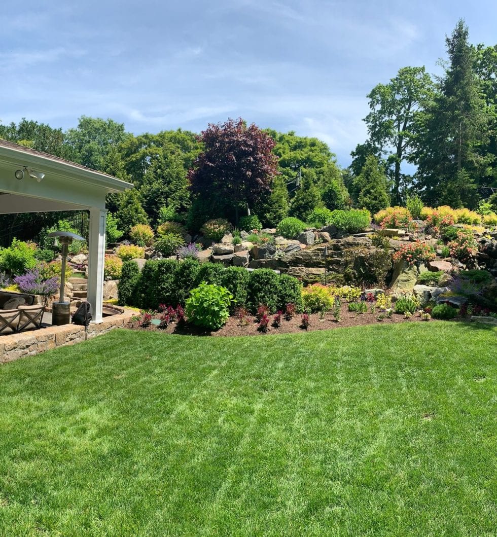 TRD Designs | Professional Landscape Designs
